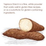 What is Tapioca Starch? What are the Applications, Properties, & Benefits?