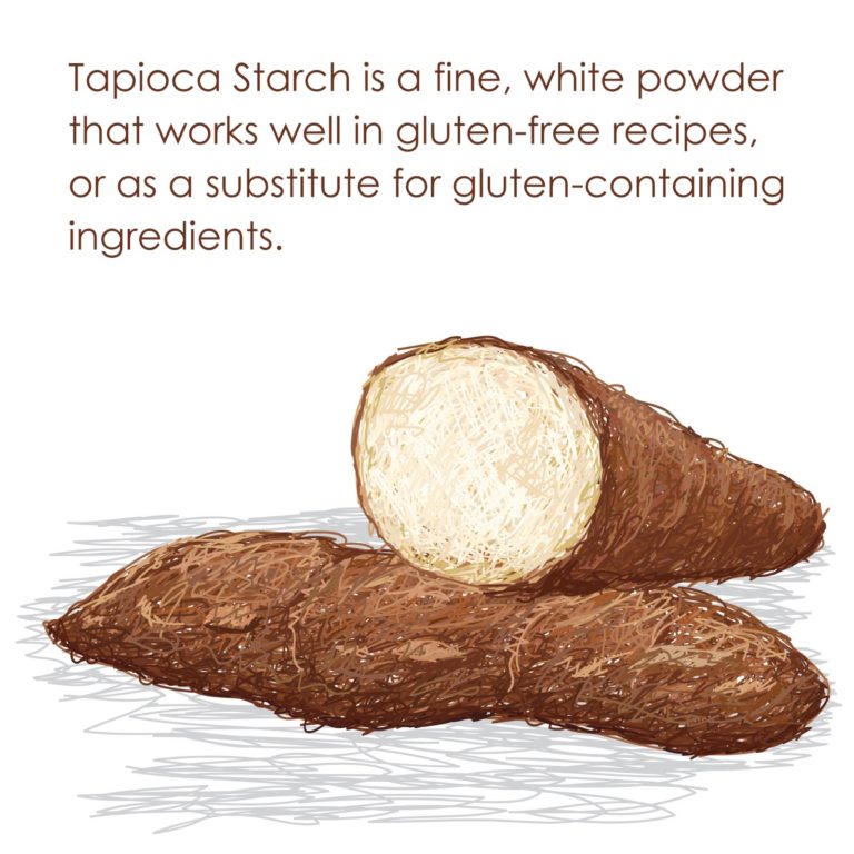 What is Tapioca Starch? What are the Applications, Properties, & Benefits?